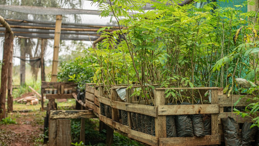 Reserva Natural El Puente Verde | Aves Argentinas